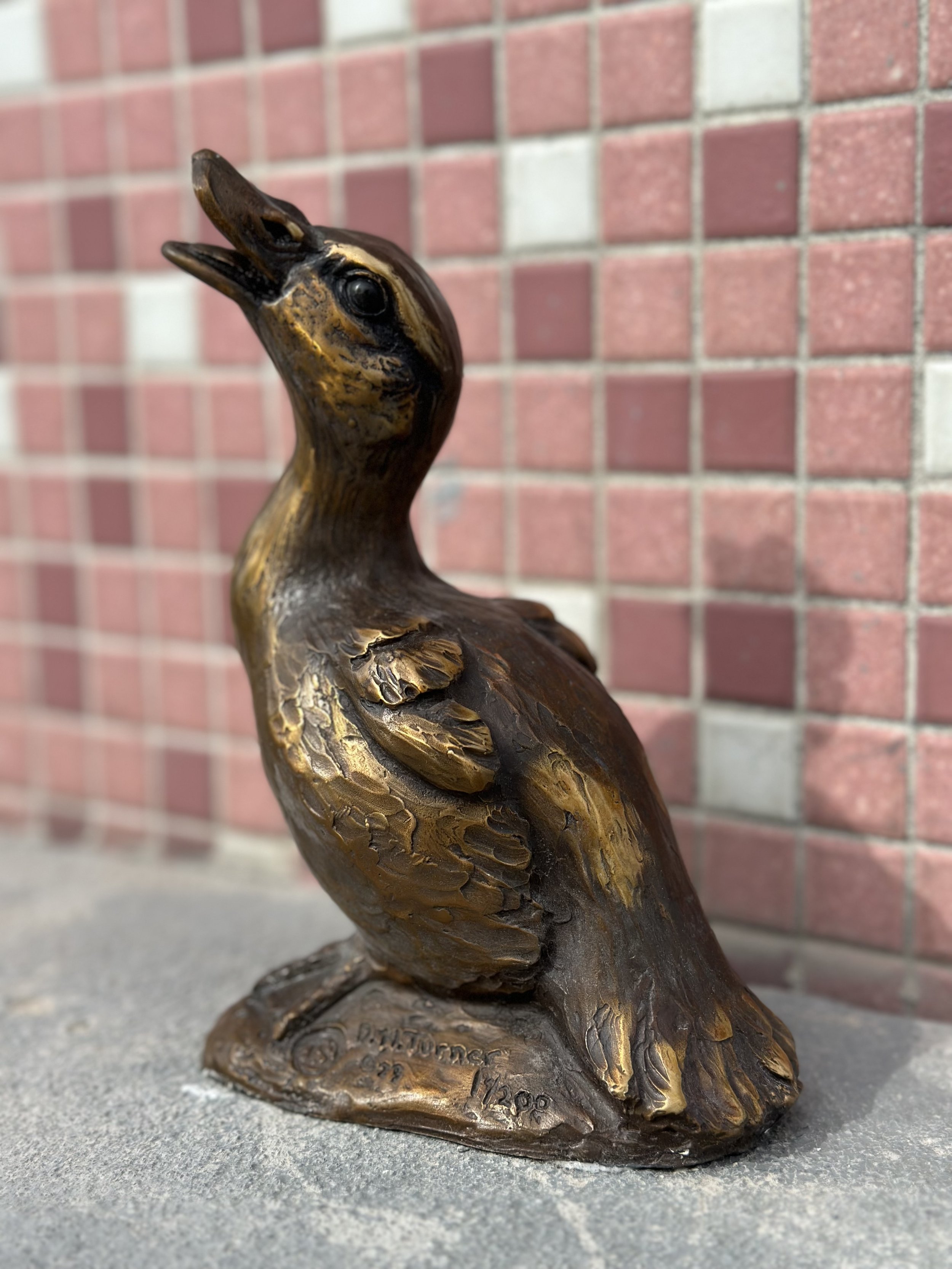 Downtown Ducklings — Explore More Discovery Museum