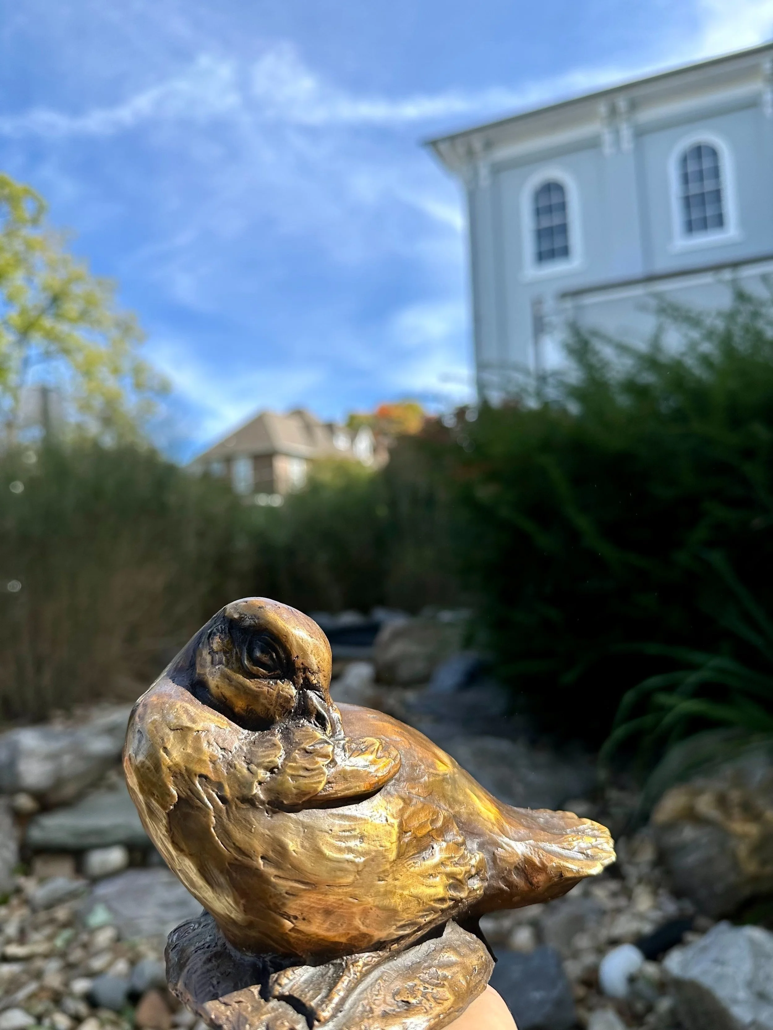 Downtown Ducklings — Explore More Discovery Museum