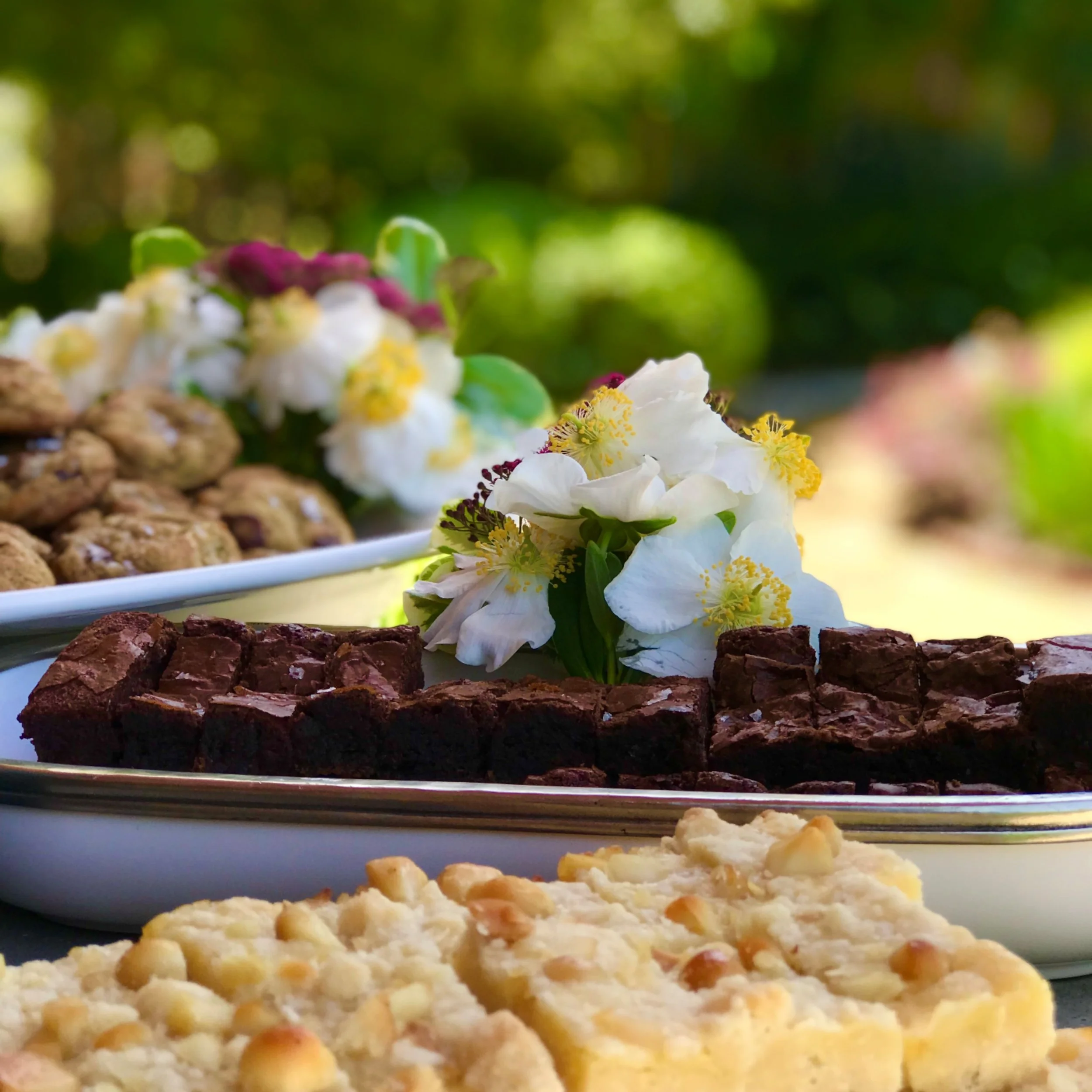 lunch & dinner — ediBOL