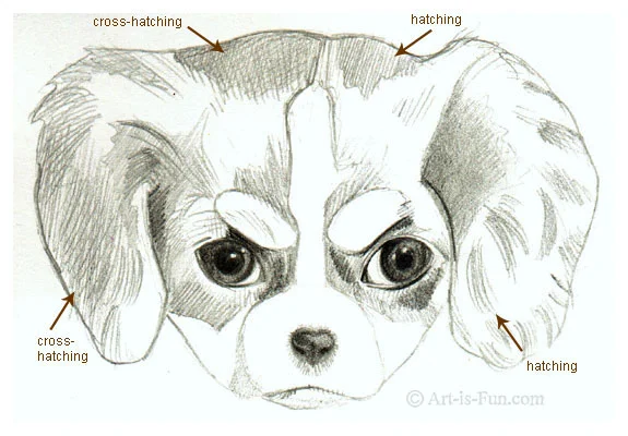 How to Draw a Puppy: Learn How to Draw Puppies! — Art is Fun