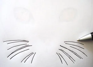 How to Draw a Cat: Learn How to Create a Unique Colorful Cat Drawing ...