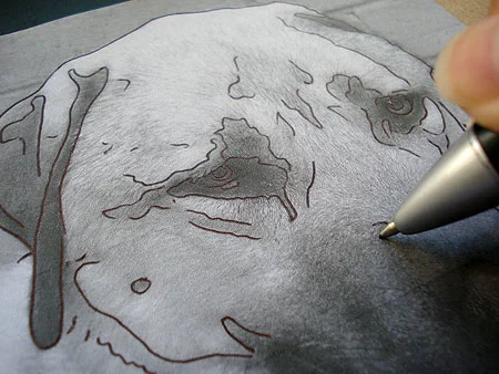 Mixed Media Tutorial: Learn how to Combine Colored Pencils and ...