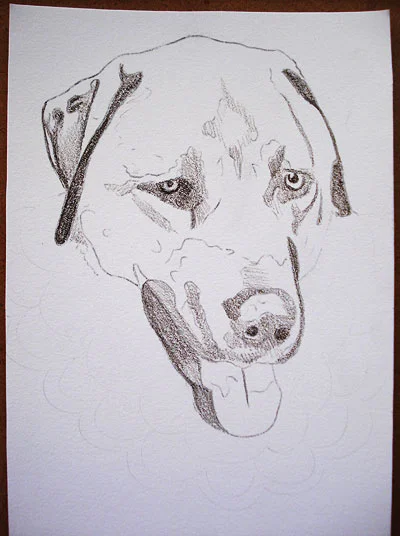 Mixed Media Tutorial: Learn how to Combine Colored Pencils and ...