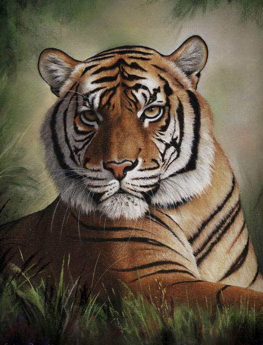 Pastel Pencil Art Techniques by Colin Bradley: Learn How to Draw with ...