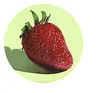 Still Life Objects: A Look at Natural Objects That Create Subject ...
