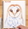 Draw Realism with Alcohol Markers - Realistic Alcohol Marker Techniques ...