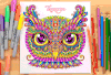 How to Draw an Owl: Learn to Draw a Cute Colorful Owl in this Easy Step ...