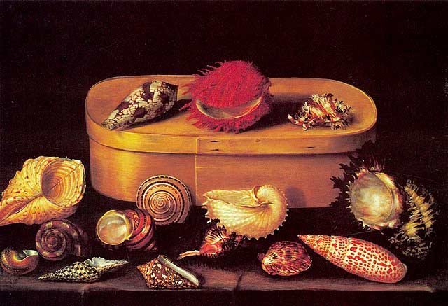 Still Life Objects: A Look at Natural Objects That Create Subject ...