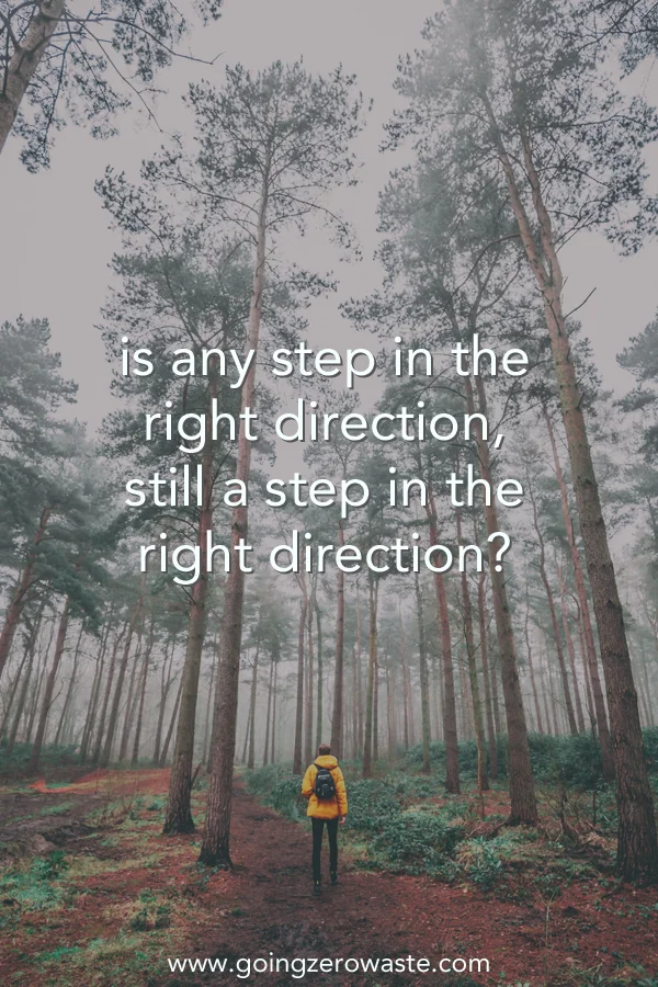 Is any step in the right direction, really a step in the right ...