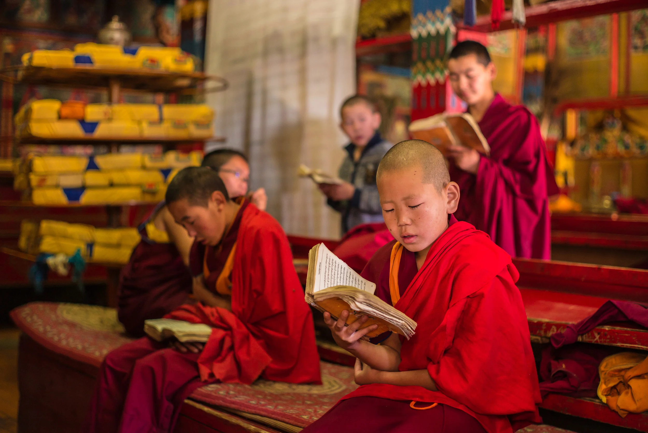 Allan Yates Photography