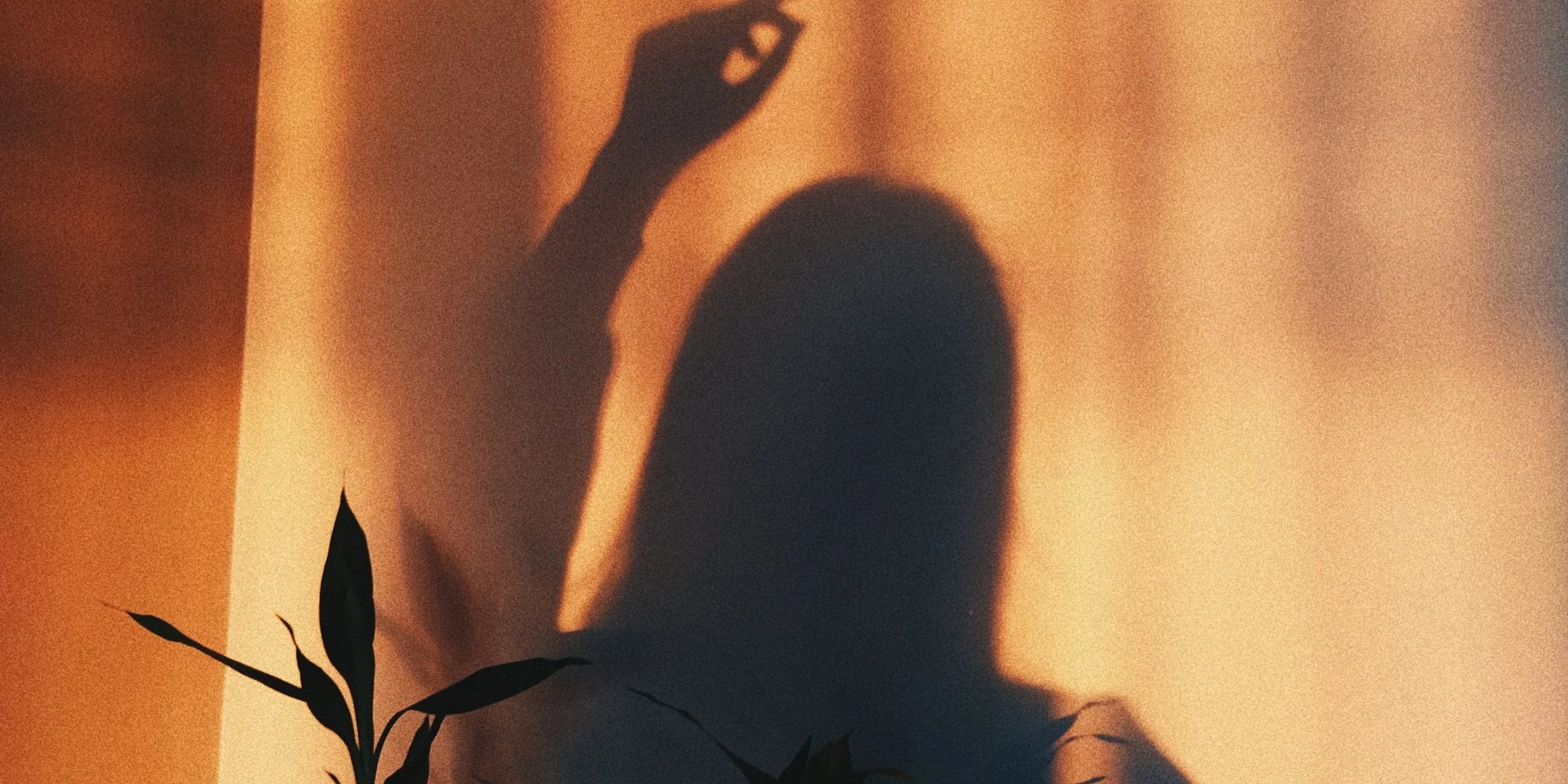 What is the Golden Shadow? The Light Side of Shadow Work — SettingSun ...