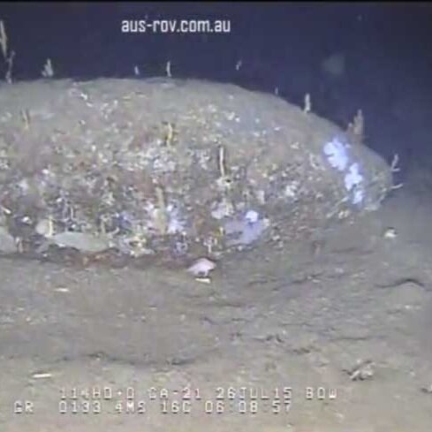 AUS-ROV Remote Operated Vehicle ROV Underwater Inspection and ...