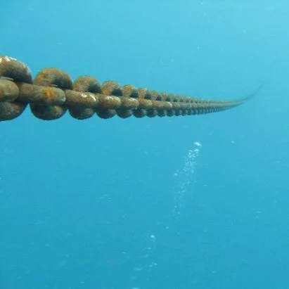 AUS-ROV Remote Operated Vehicle ROV Underwater Inspection and ...