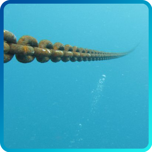 AUS-ROV Remote Operated Vehicle ROV Underwater Inspection and ...