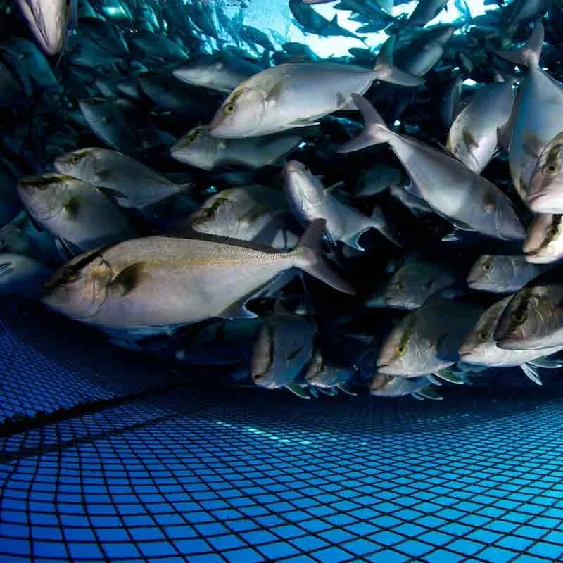 AUS-ROV Remote Operated Vehicle ROV Underwater Inspection and ...