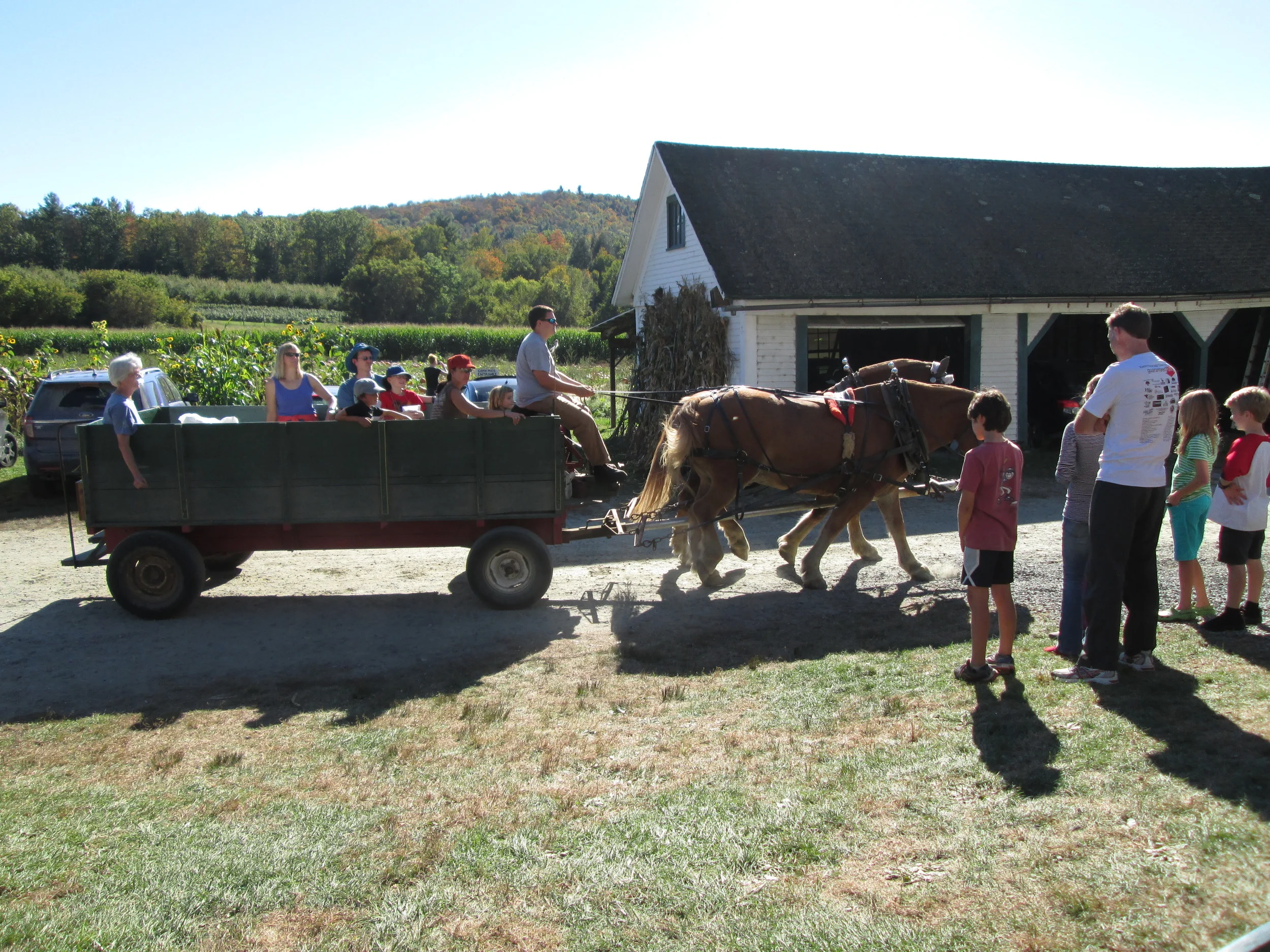 Riverview Farm
