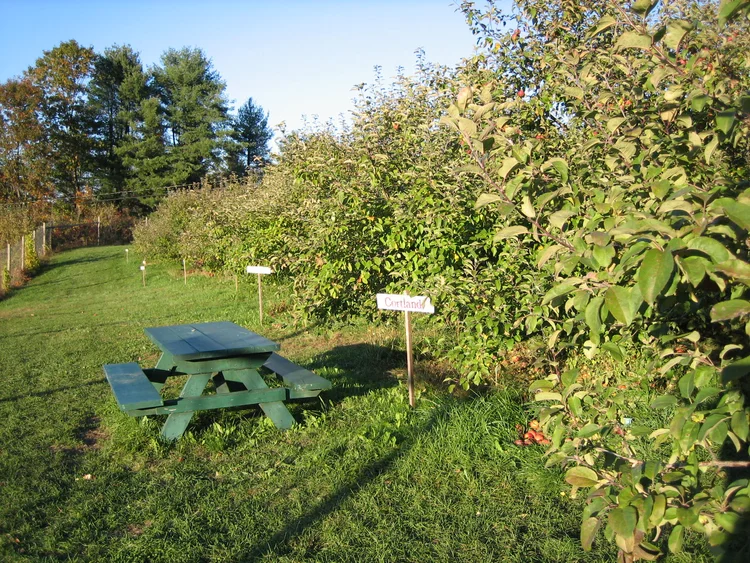 General Information — Riverview Farm