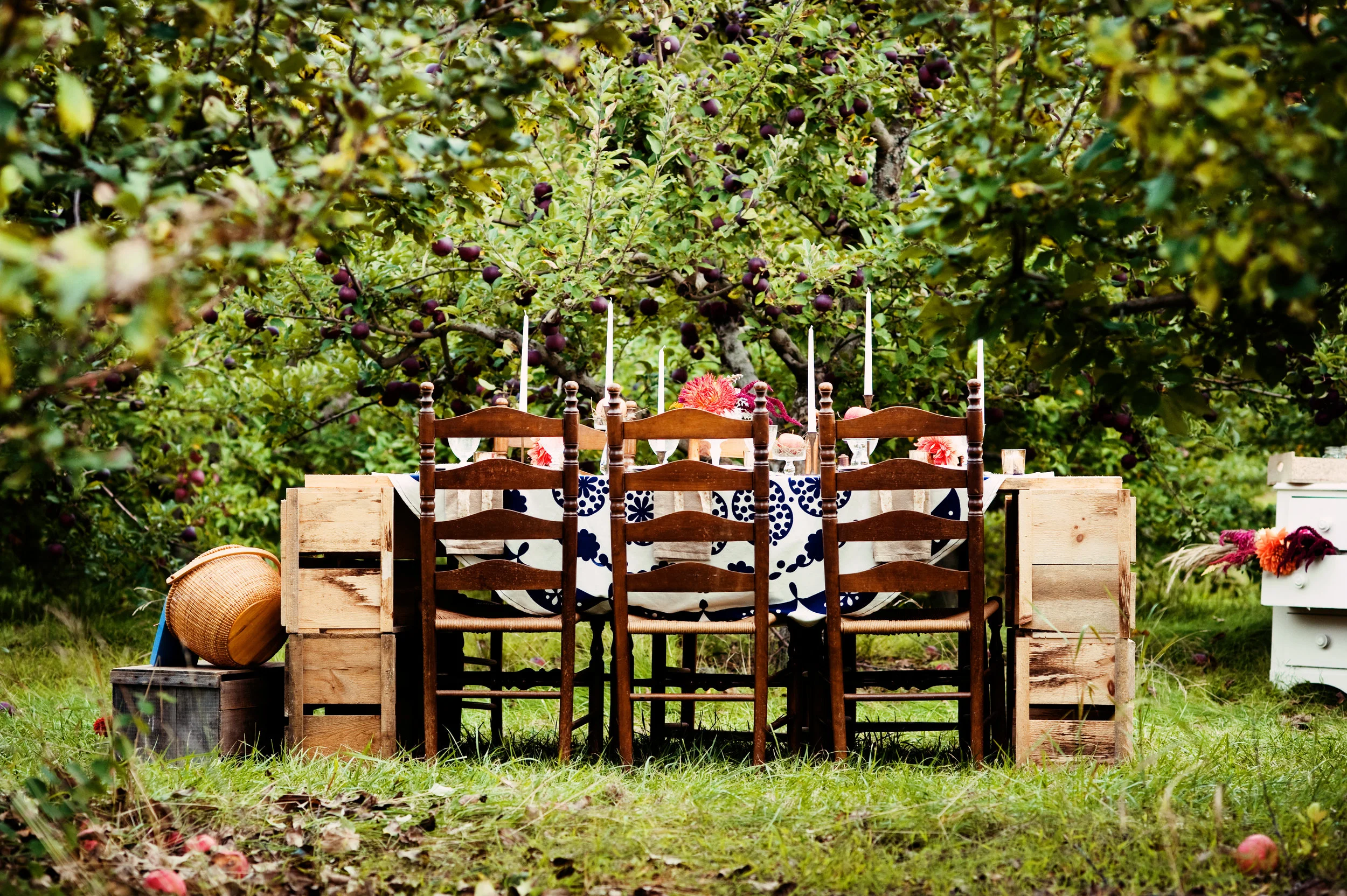 Riverview Farm