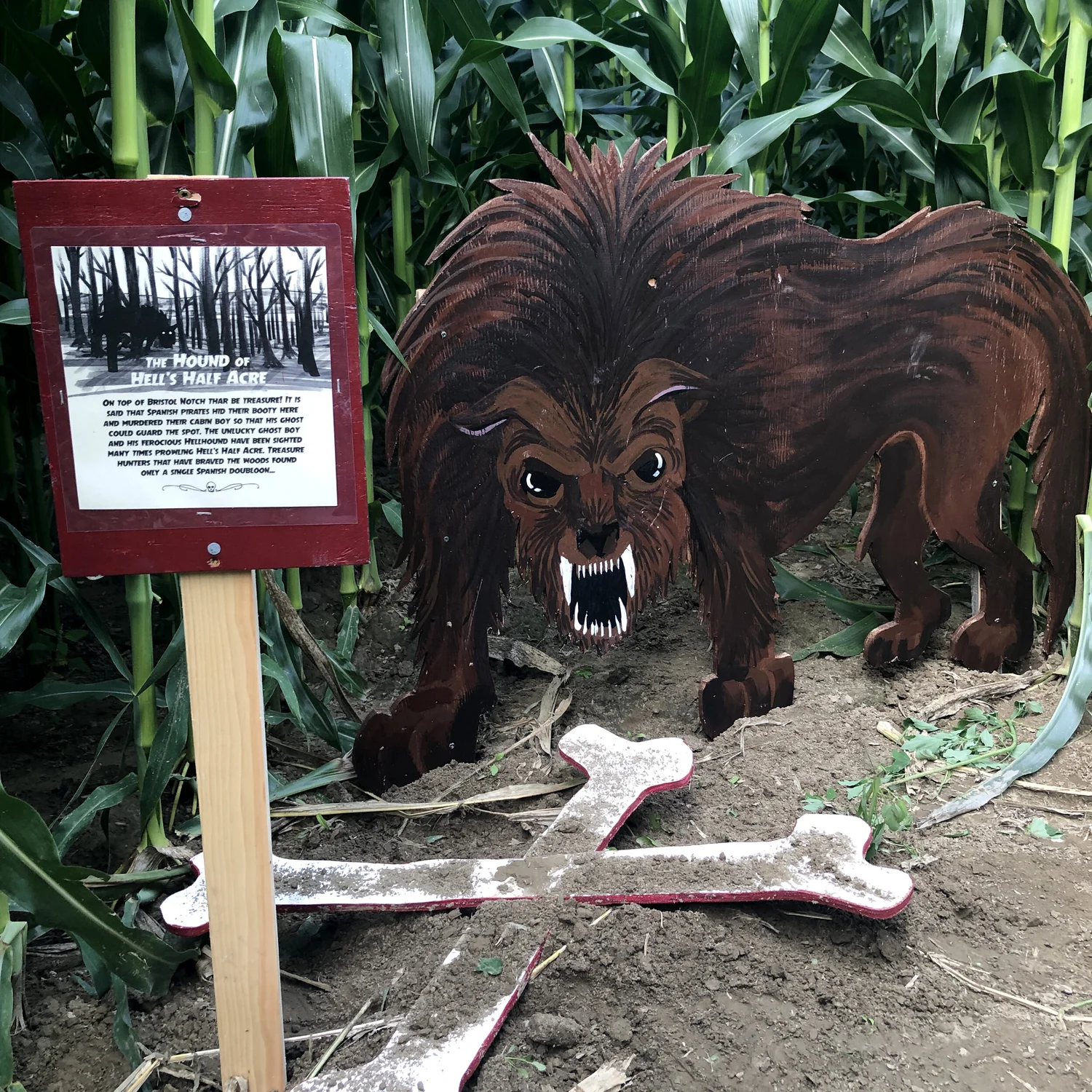 Corn Maze — Riverview Farm