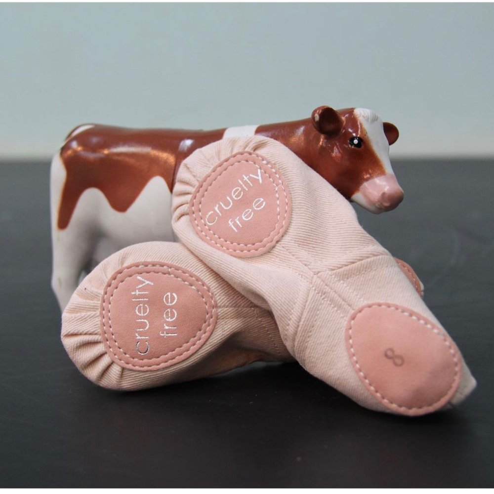 The Studio — Cynthia King Dance Studio