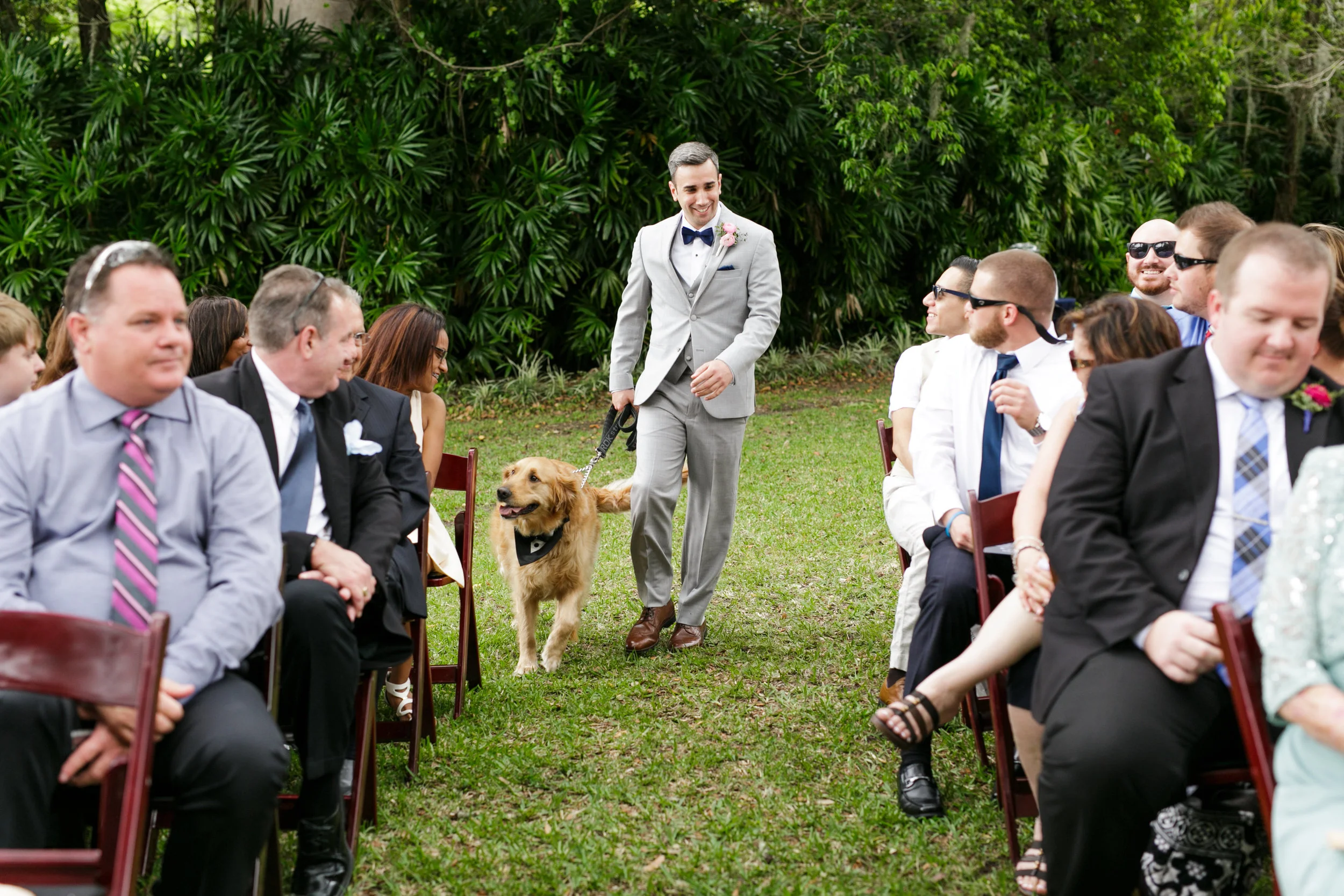 What to Expect from Wedding Pet Care — FairyTail Pet Care - Wedding Day ...