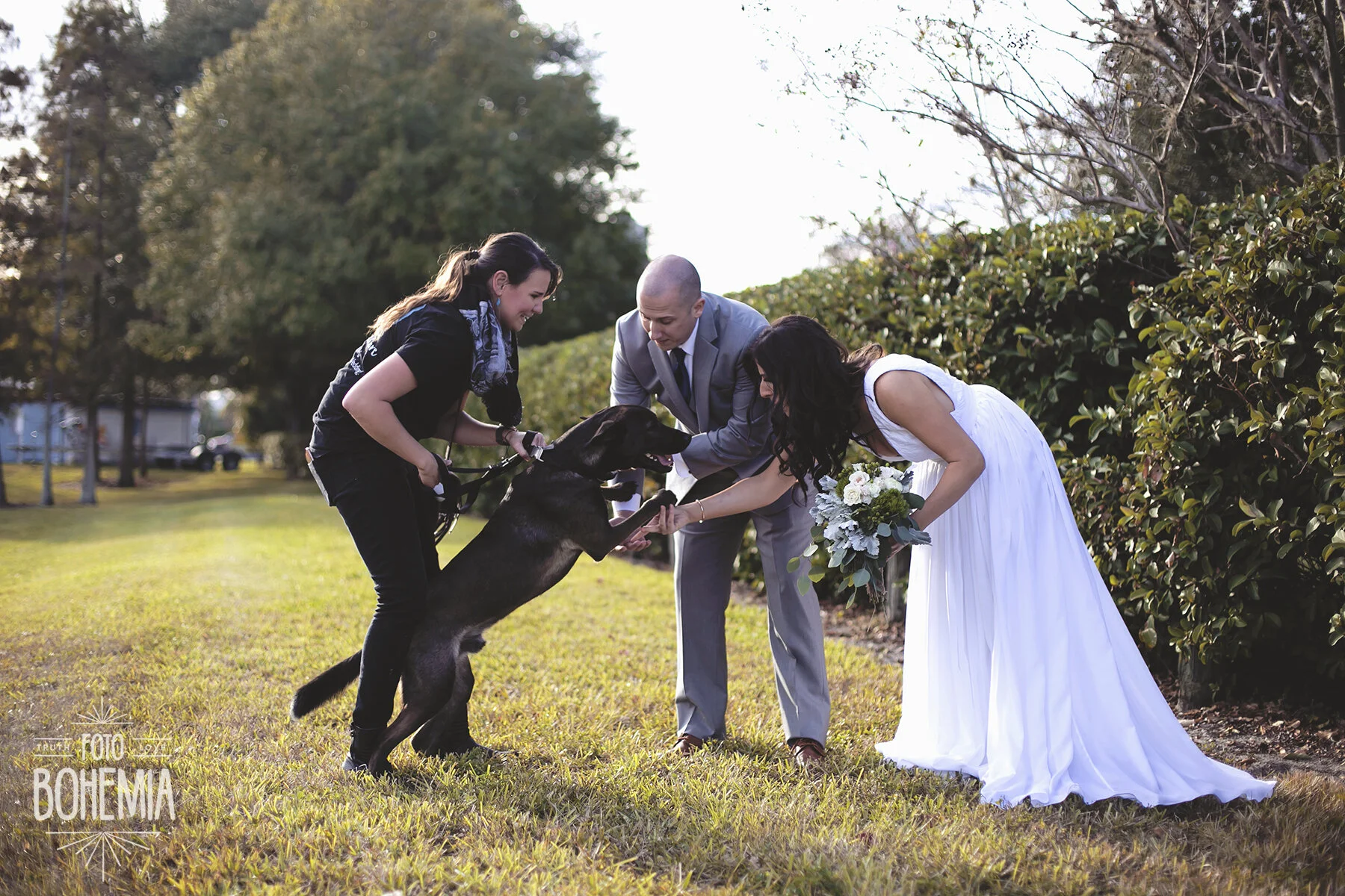 What to Expect from Wedding Pet Care — FairyTail Pet Care - Wedding Day ...