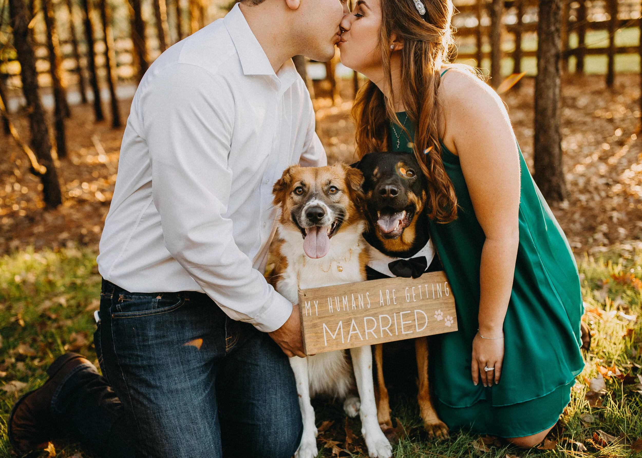 What to Expect from Wedding Pet Care — FairyTail Pet Care - Wedding Day ...