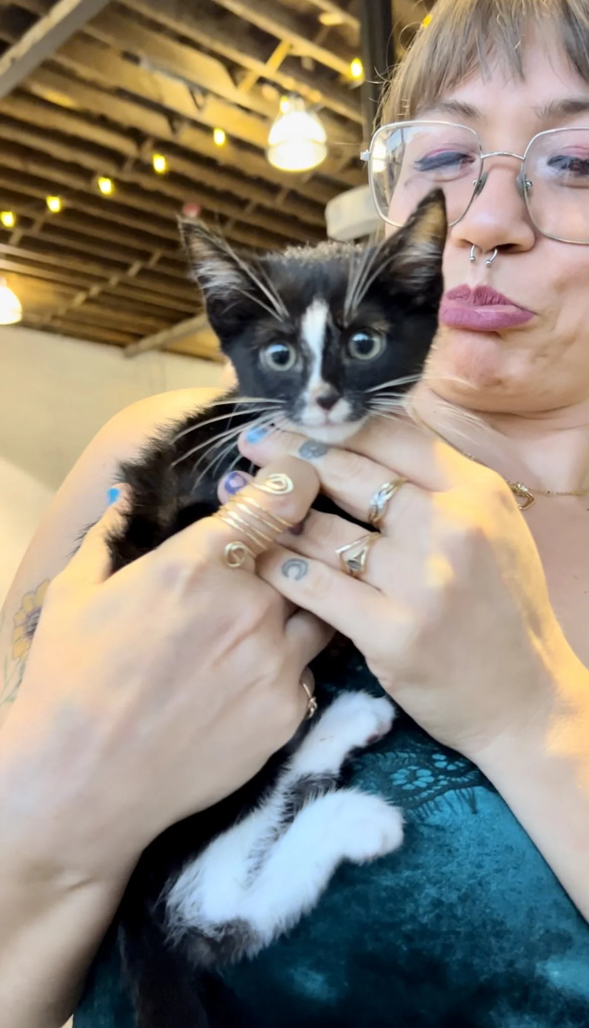Bride & Groom Swap The Traditional Bouquet Toss For A “Cat Toss ...