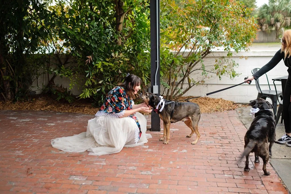 The Perfect Timing: Why Your Dog Belongs in Your First Look Photos ...