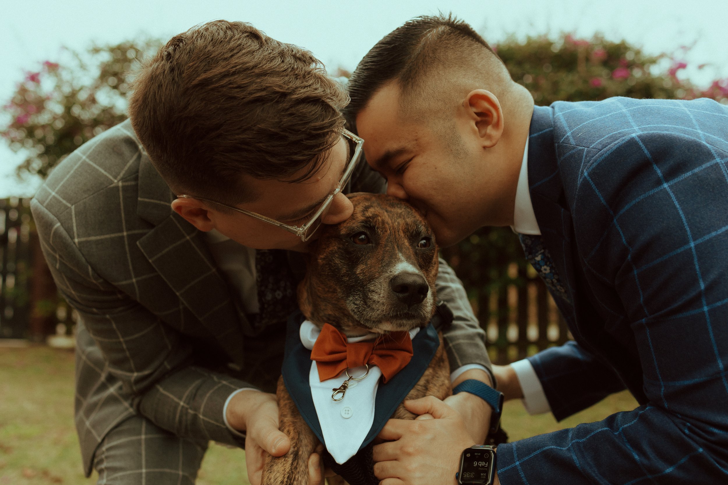 The ULTIMATE Guide to Including Your Dog in Your Wedding — FairyTail ...