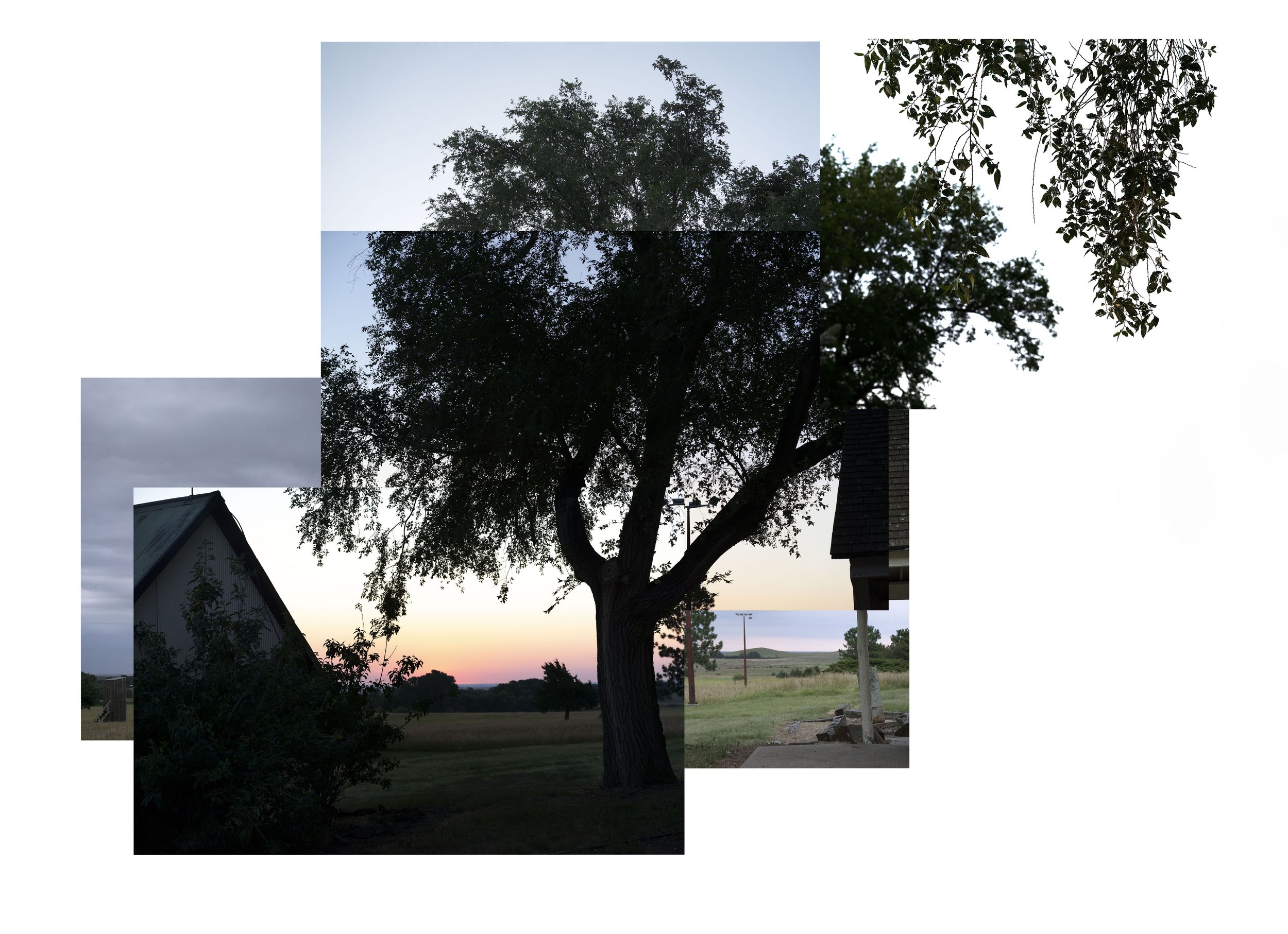 TERRY EVANS PHOTOGRAPHY