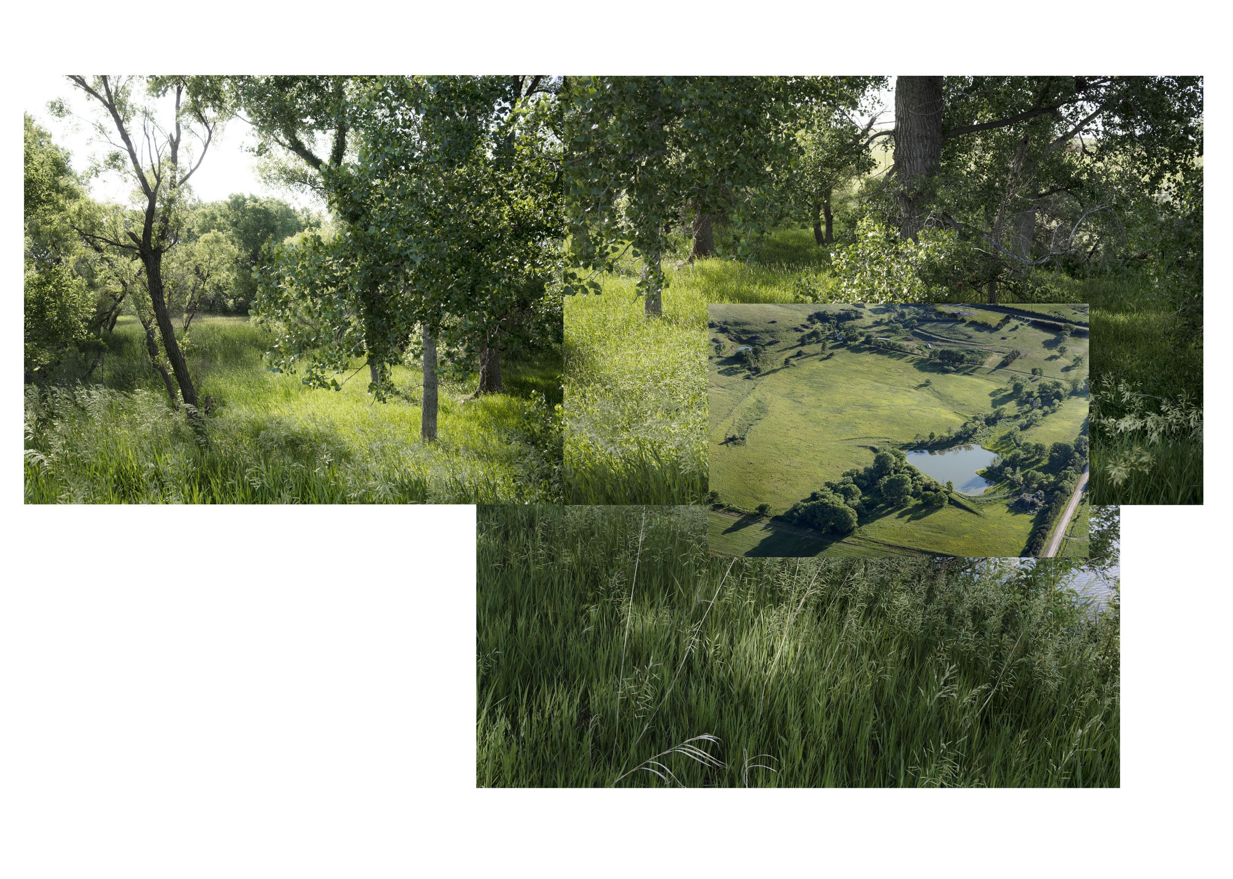 TERRY EVANS PHOTOGRAPHY