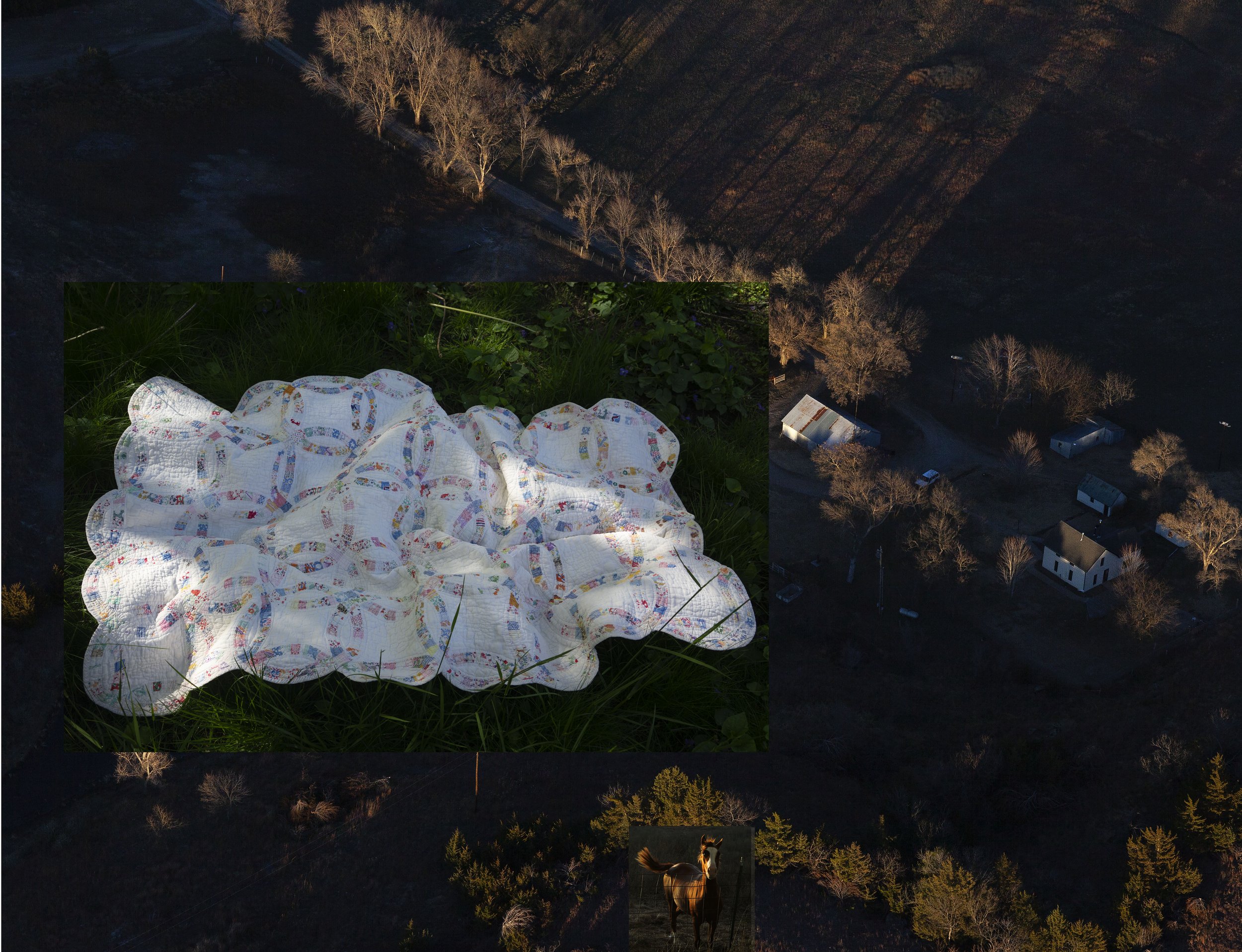 TERRY EVANS PHOTOGRAPHY