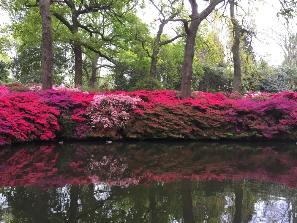 Area Guide — Coombe Residential