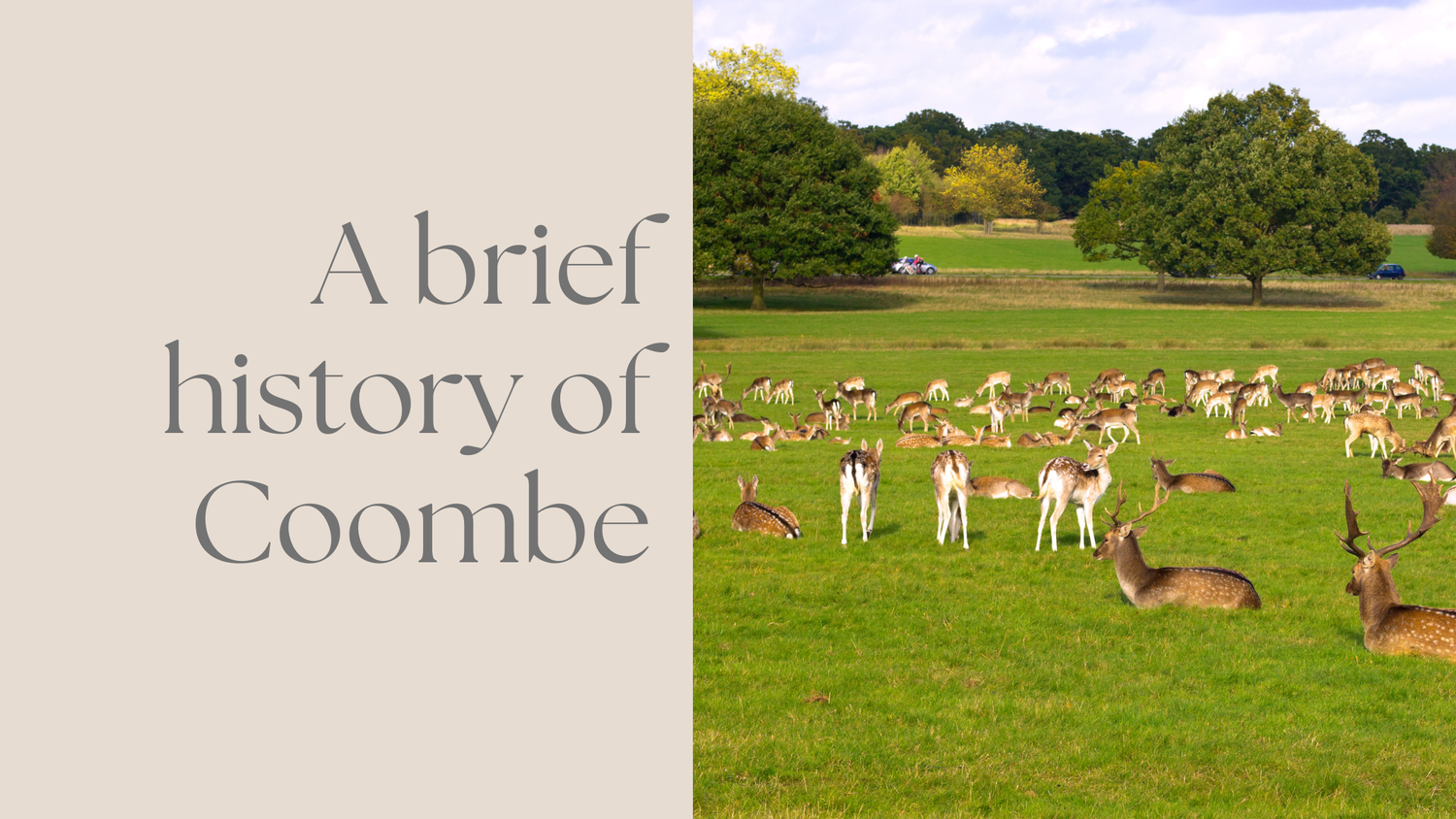 A brief history of Coombe — Coombe Residential