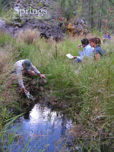 Introduction — Springs Stewardship Institute