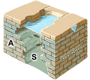 Exposure — Springs Stewardship Institute