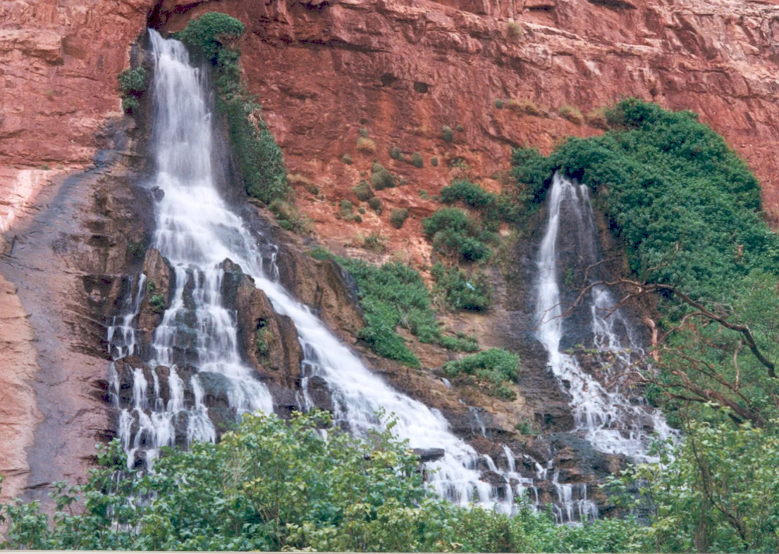 Springs of the Grand Canyon — Springs Stewardship Institute