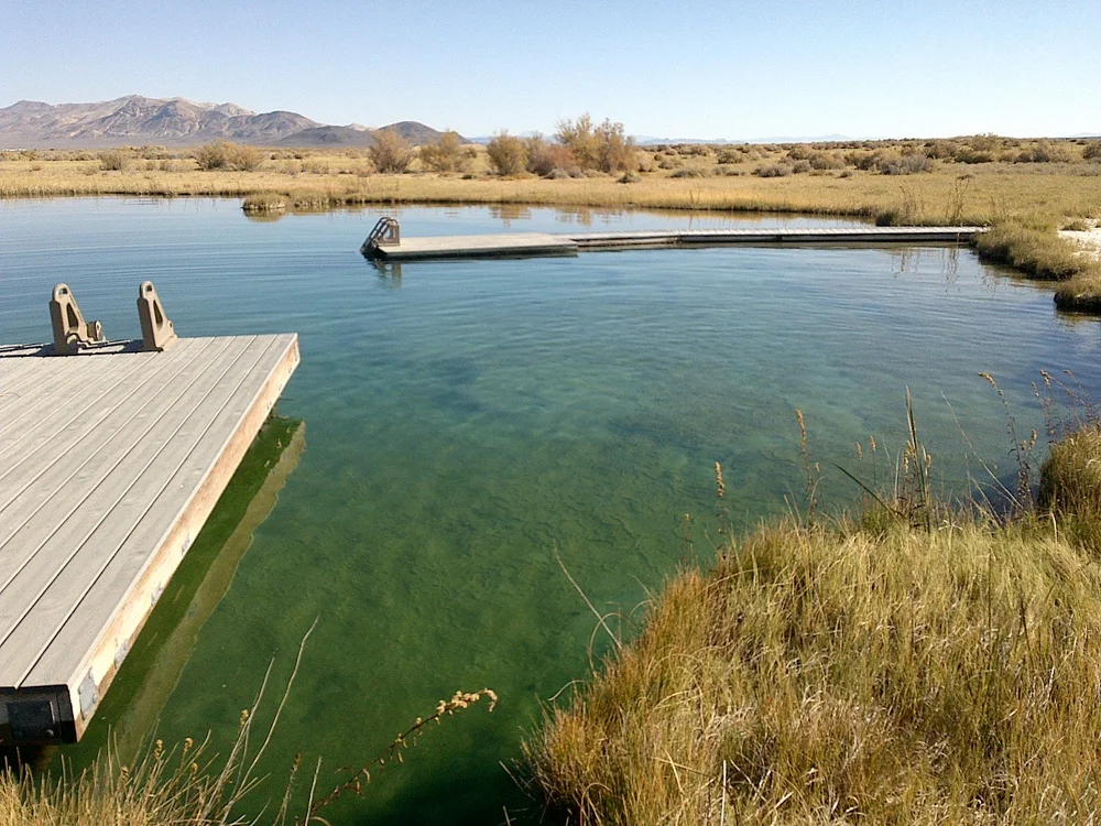 Introduction & Key — Springs Stewardship Institute