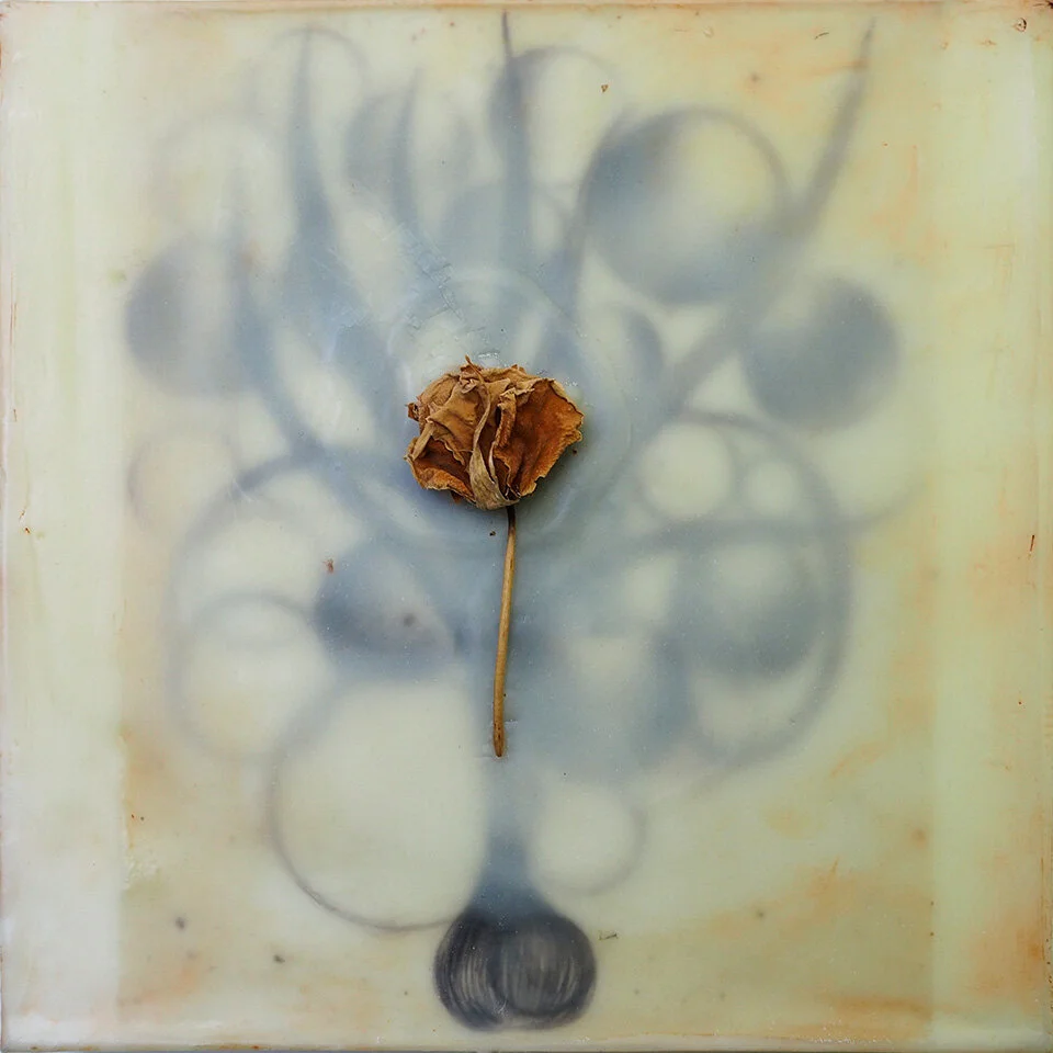 Images — Joy Broom