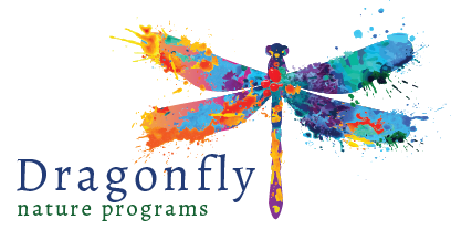 Dragonfly Nature Programs LLC