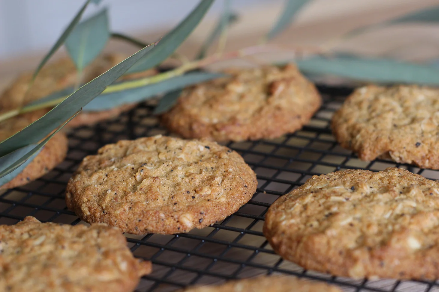 Emu Bottom Biscuits : Traditional Anzac Biscuits from Emu Bottom ...