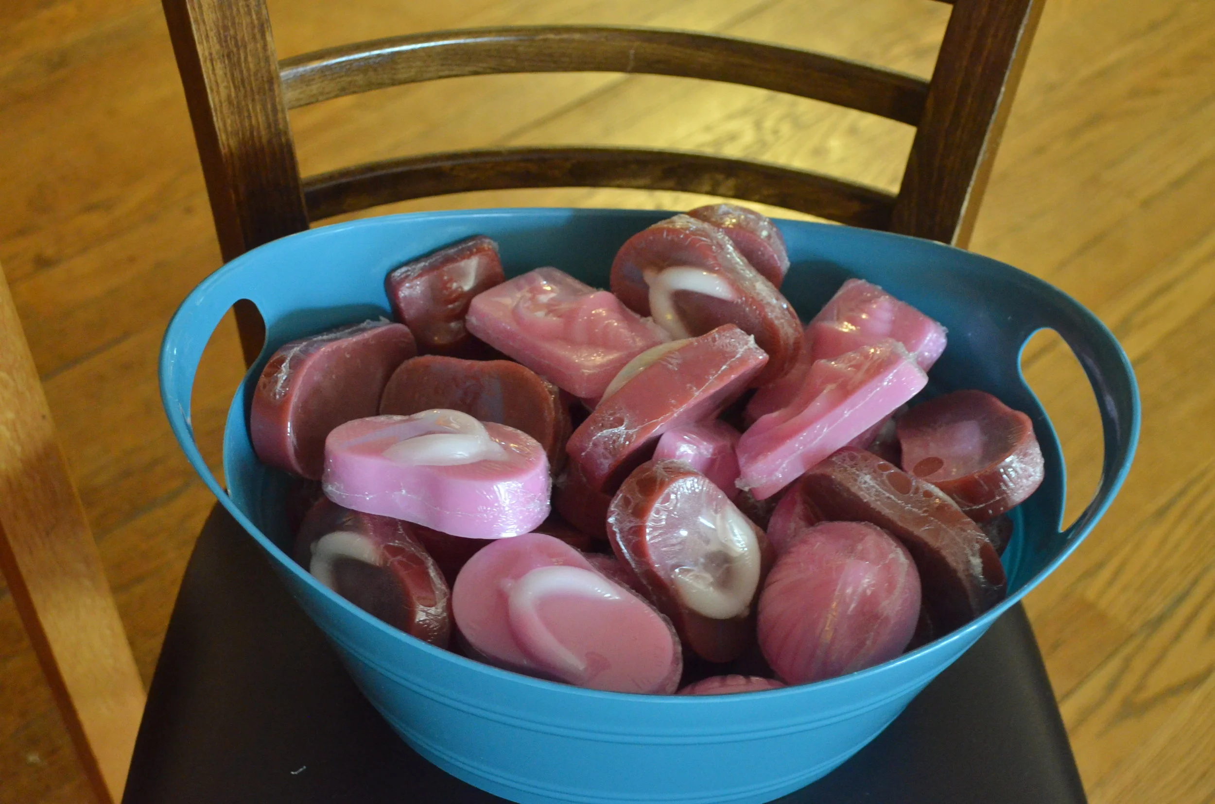 Professed Feast Day — Dominican Nuns of Summit, NJ