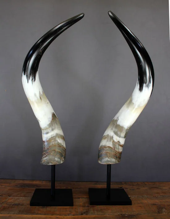 Texas Longhorn Sculpture