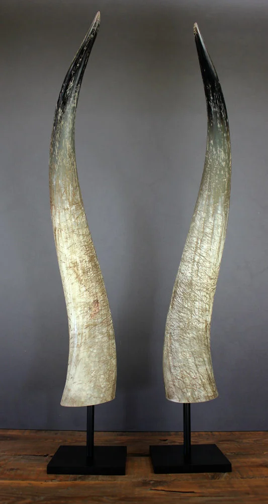 Texas Longhorn Sculpture