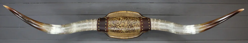Mounted Texas Longhorns, Steer Horns