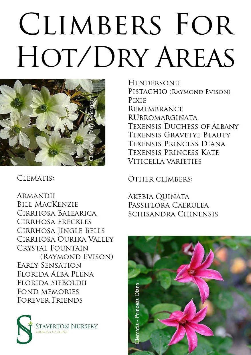 Plants for Places — Staverton Nursery Ltd