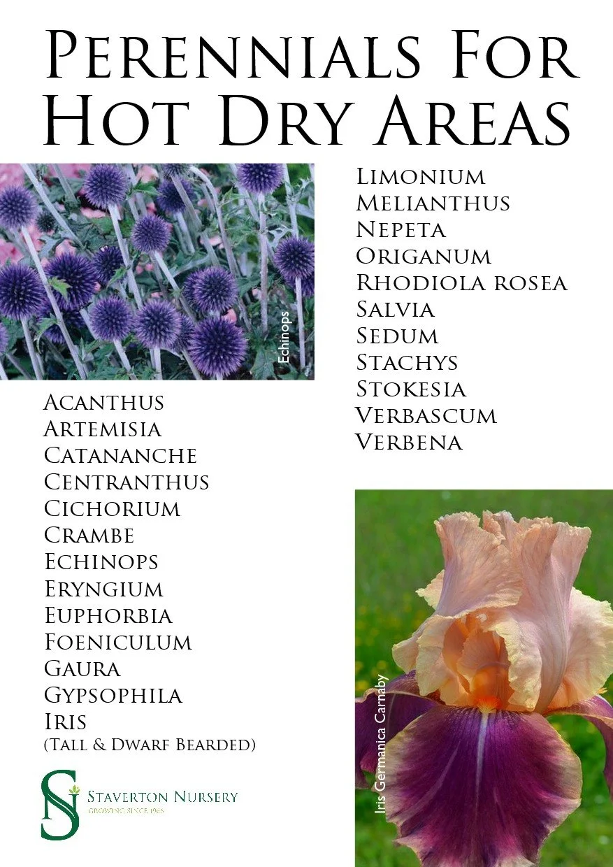 Plants for Places — Staverton Nursery Ltd