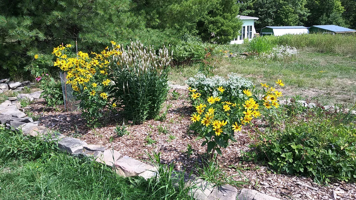 Commemorative Planting — Greensprings Natural Cemetery Preserve