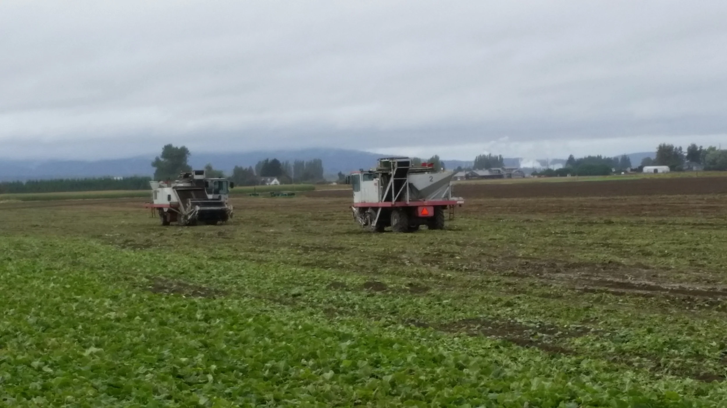 Locally and sustainably sourced fish & chips — SPUD Fish & Chips